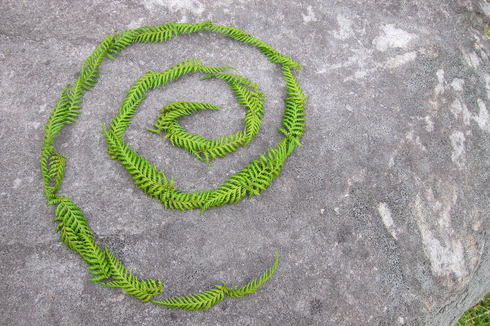 Biking our beautiful life: Inspired by Andy Goldsworthy