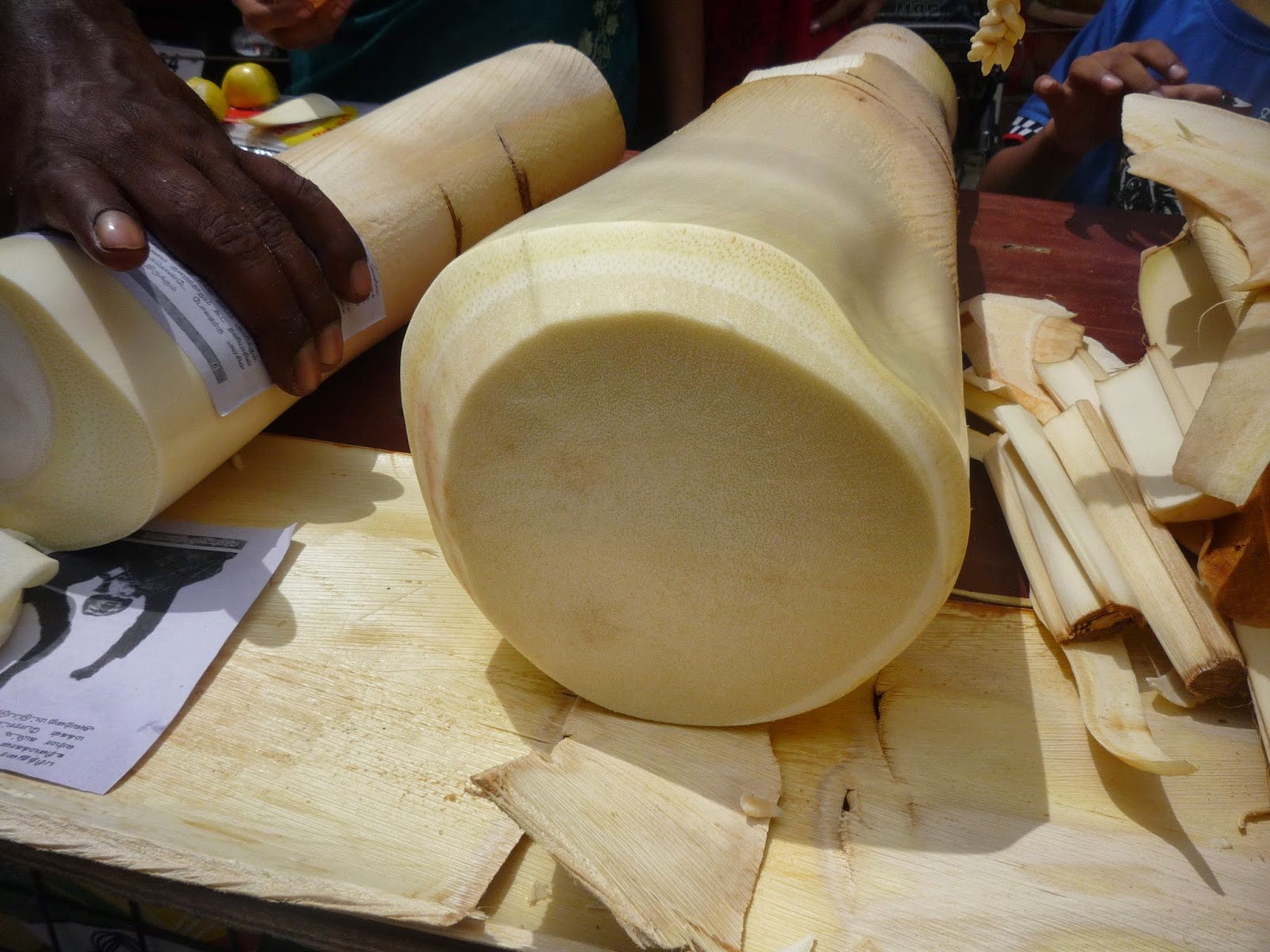 jayantiblogshere: T – Thennang kuruthu