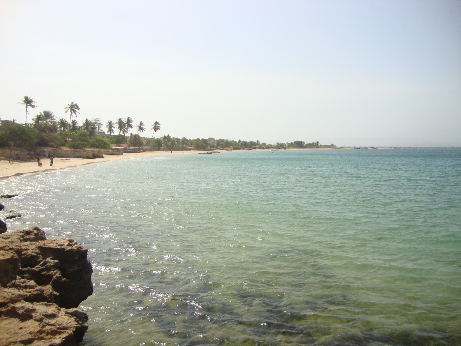 Araya y Paria: el enigma de las penínsulas - Viajero de naturaleza