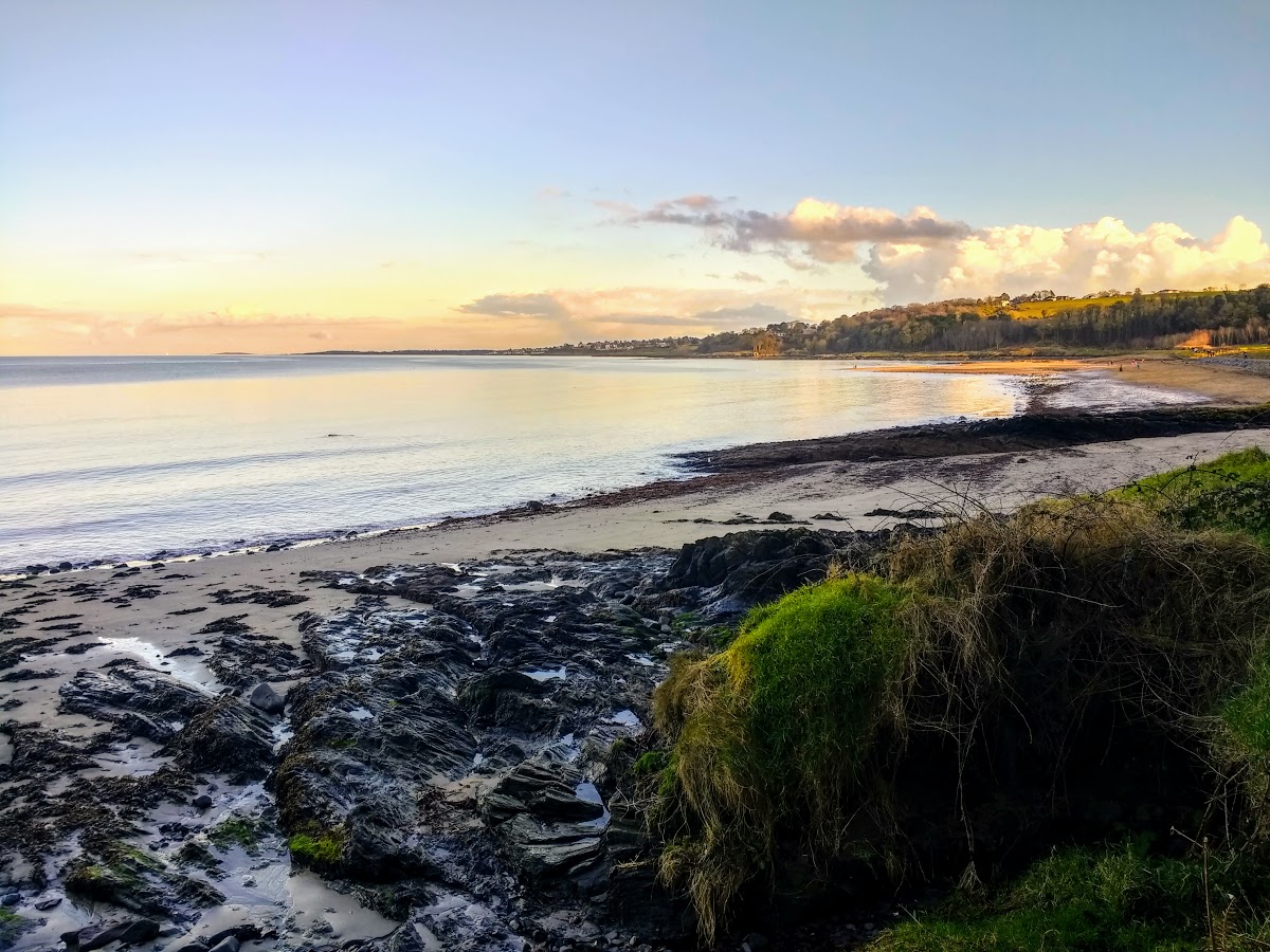 A Passion For Cards: A few photos taken at Crawfordsburn Country Park ...