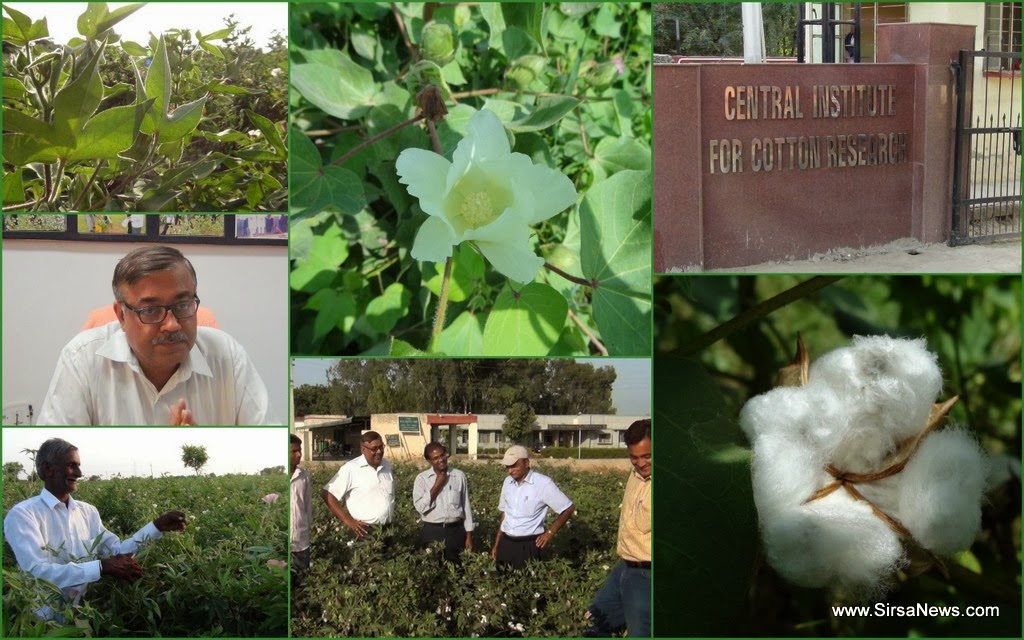 Sirsa News: September 2013