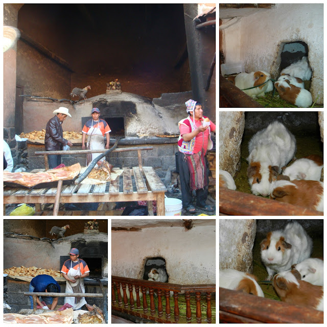 Tá indo pra onde?: Comidas e bebidas típicas do Peru