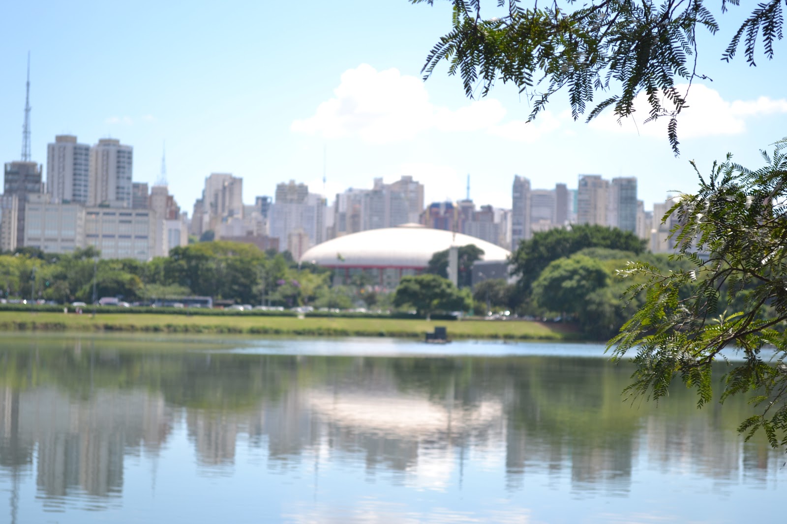 Visite Sampa : Parque do Ibirapuera