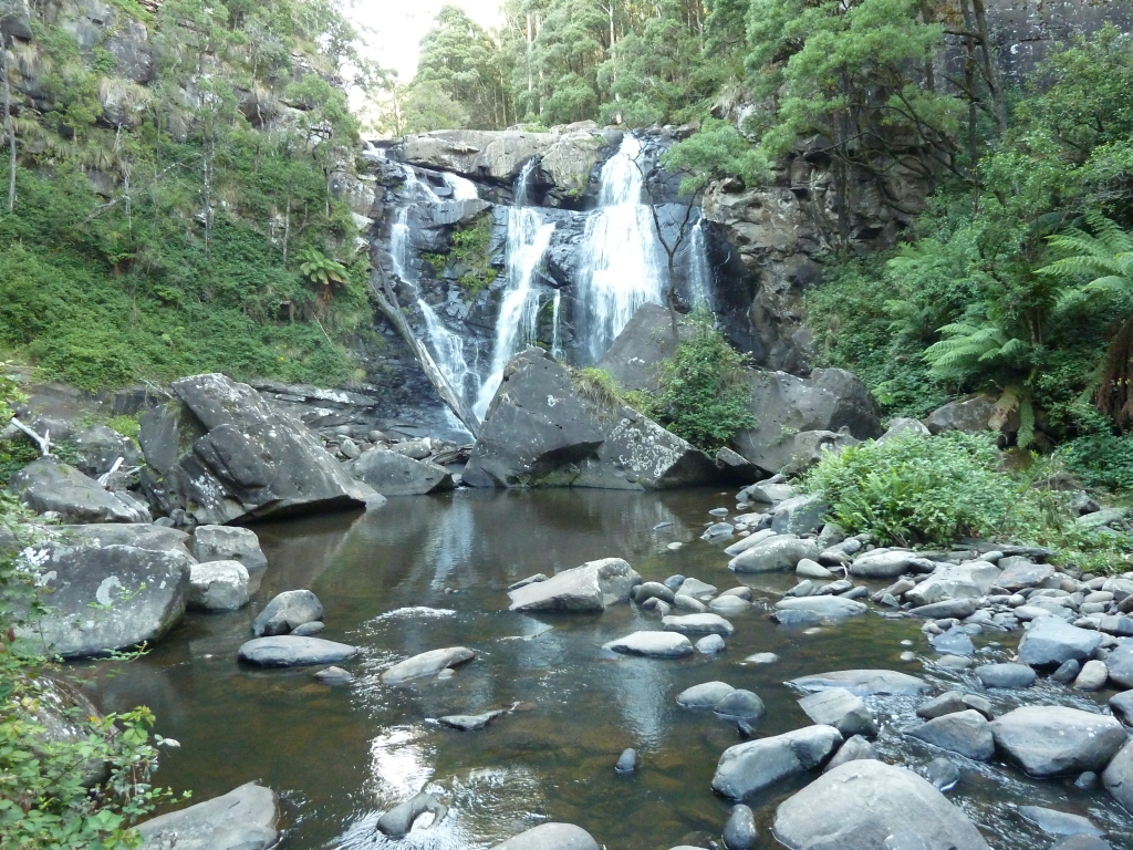 Back To Nature:: Stevenson Falls - Otways NP - VIC