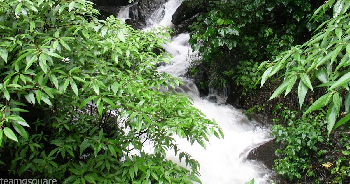Team G Square: The Mighty Hebbe Falls - Kemmangundi, Chikmagalur