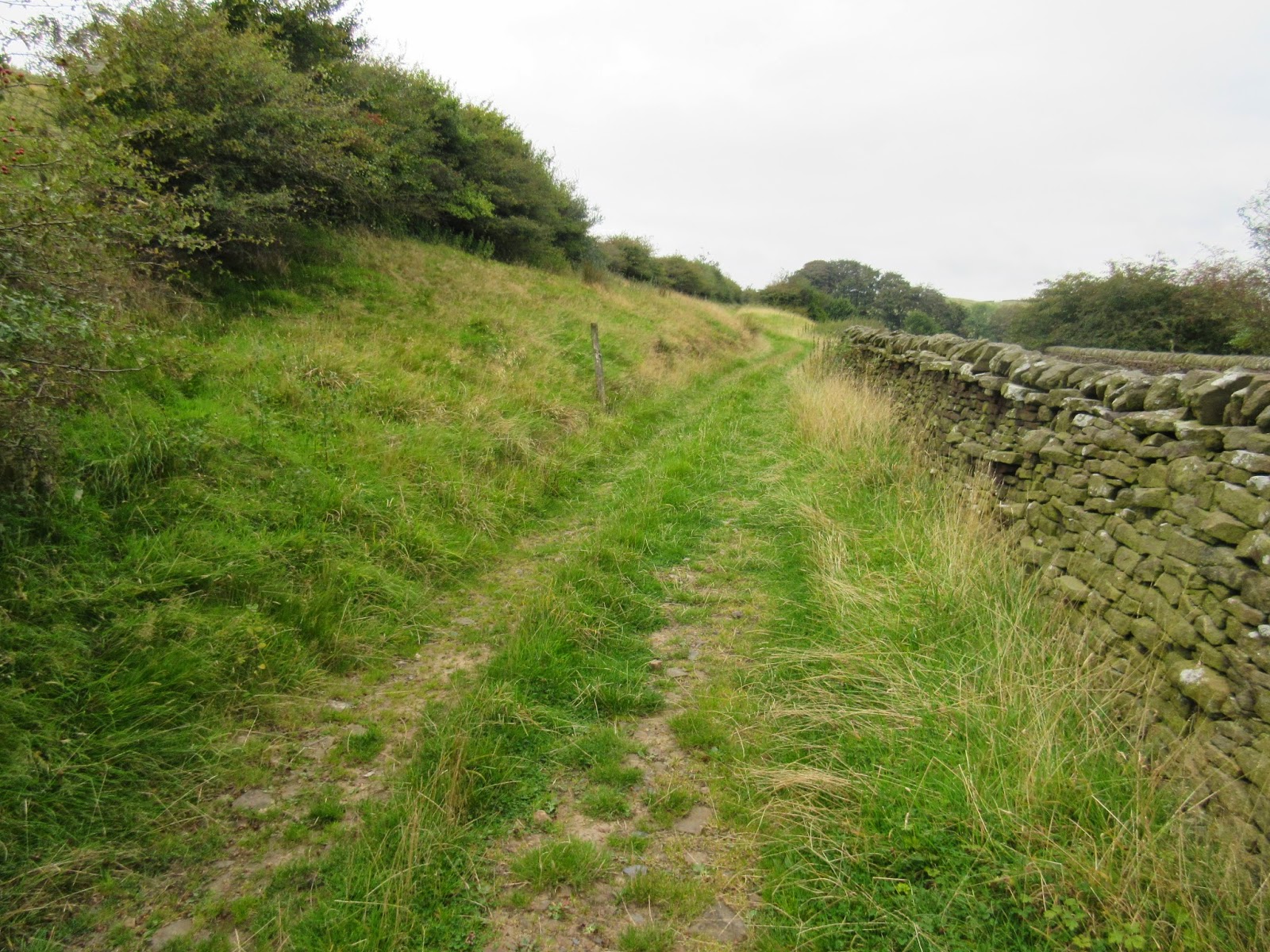 Old Fields of History