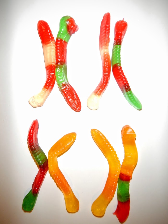 Tales of the 10th West Irregulars: human anatomy: DNA and GENES