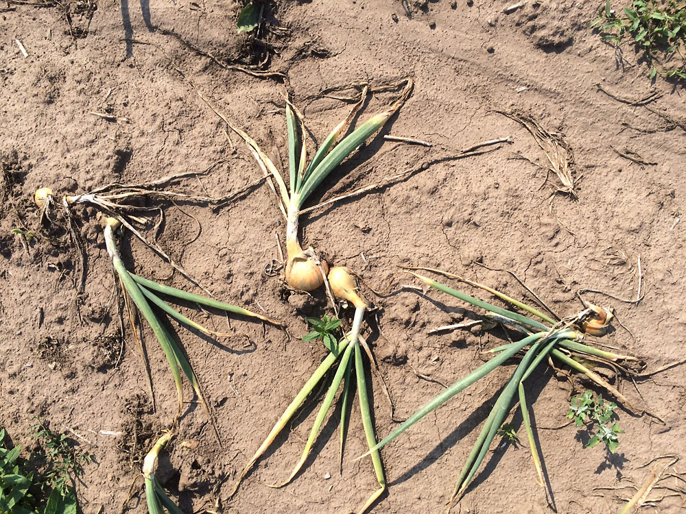 Zorientowana/Zorientowany: Nazwa zobowiązuje!