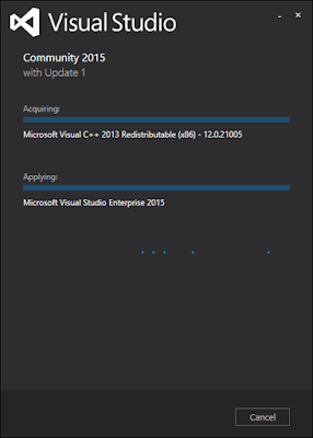 Now press on 'Install' button and setup will start to run like below