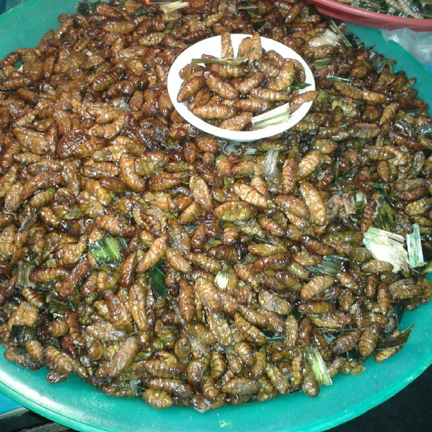 Danok Sadao ~ Man's Paradise!