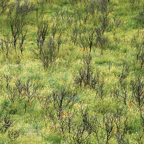 NCFE Photography: Research: Charlie Waite