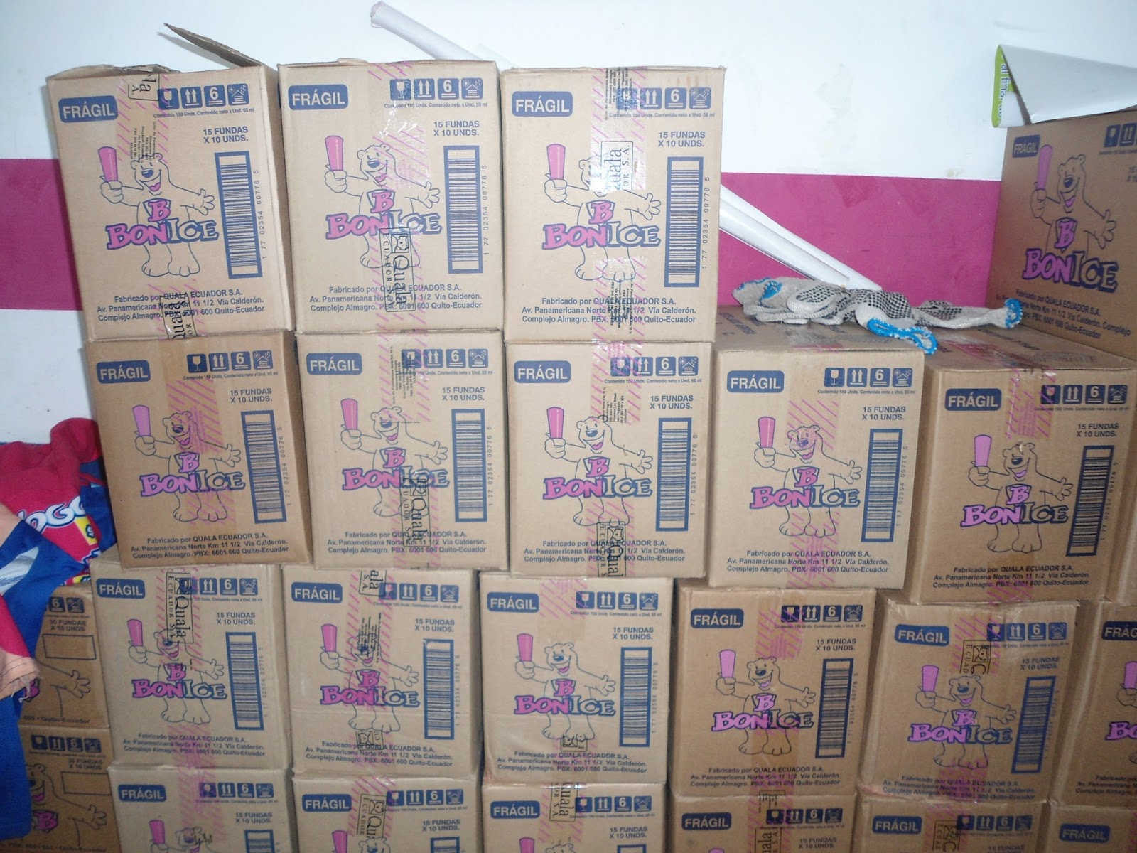 micro empresa bonice