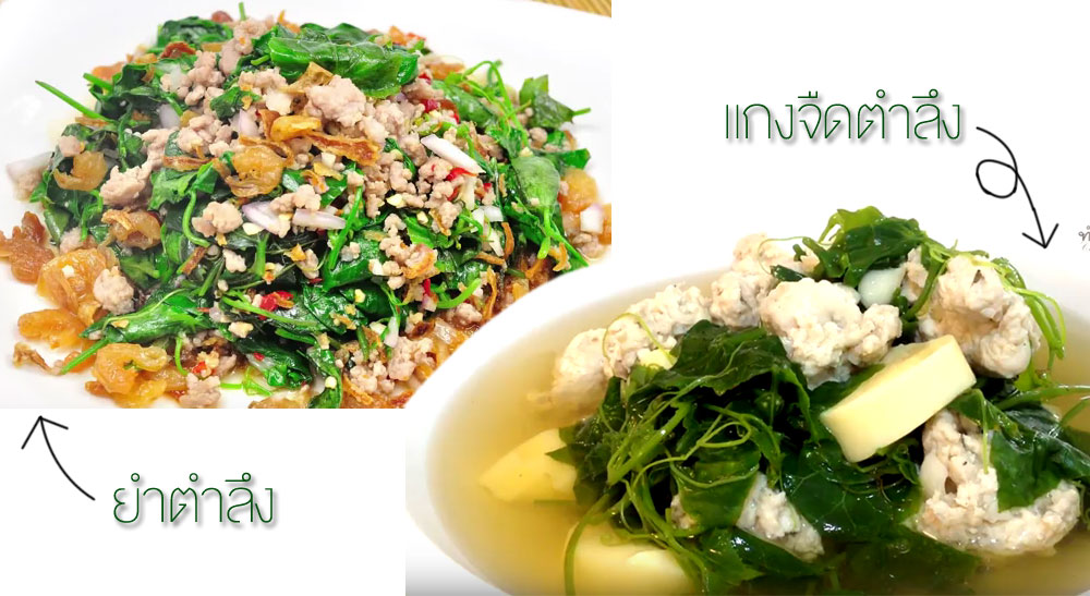 เมนูผักตำลึงที่ผู้ป่วยโรคเบาหวานไม่ควรพลาด | My Vegetables Diary