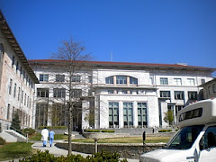 Reflections of a Grady Doctor