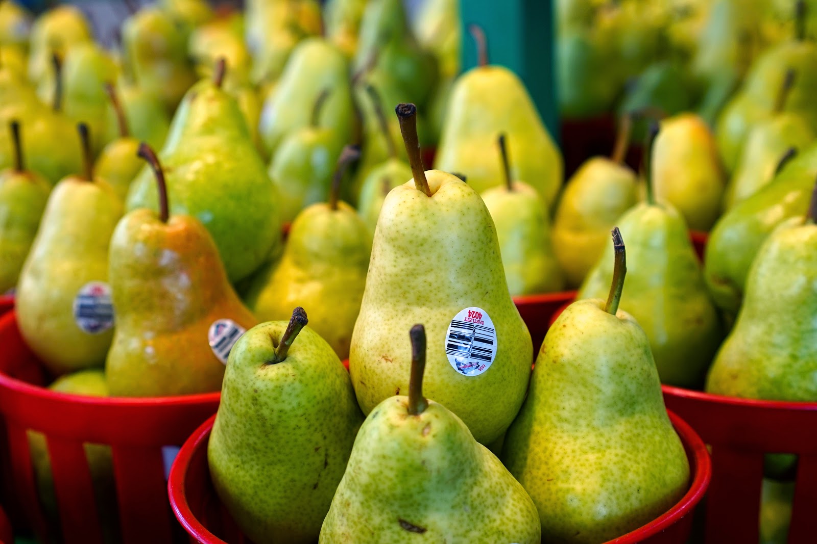 Emtalks: The Markets Of Montreal: Exploring Jean Talon and Atwater