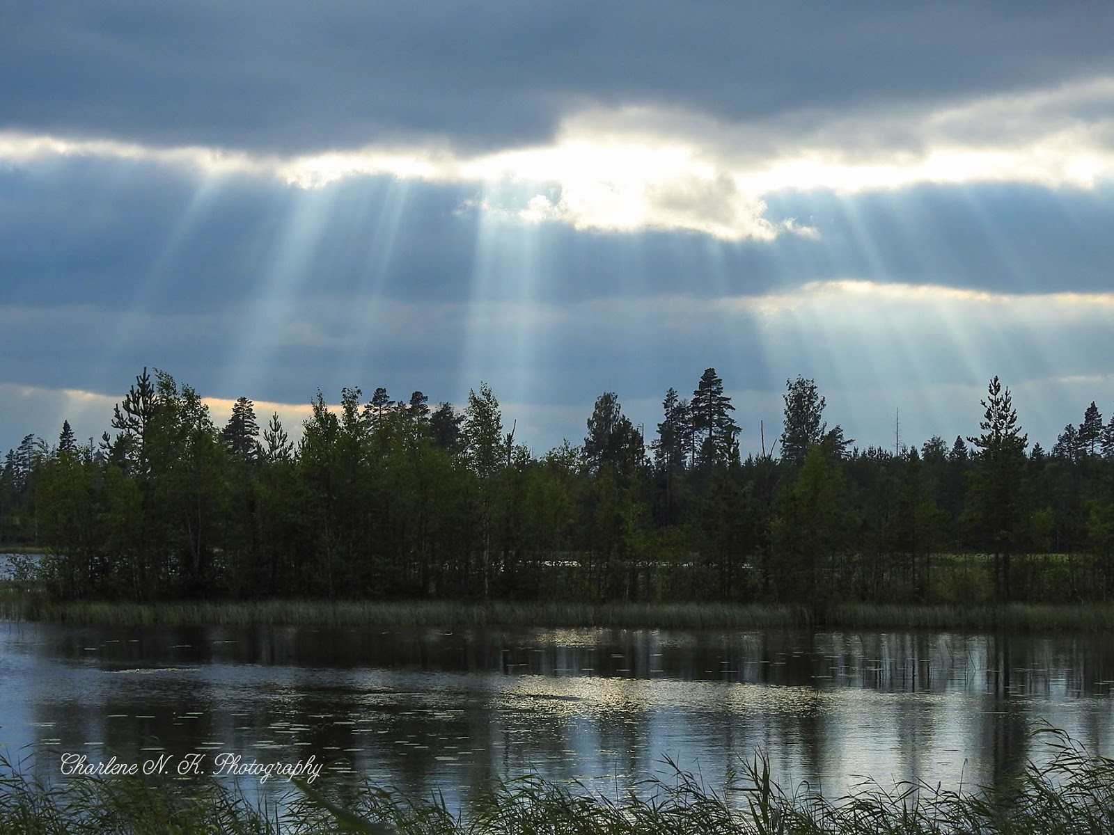 Fading Summer |Blissful Solitary Wanderings