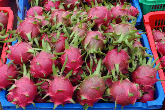 my little lantern: July 2011