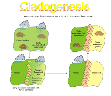 .::Jose Biology B::.: .::Vocabulary of concepts of chs 17, 18, 19::.
