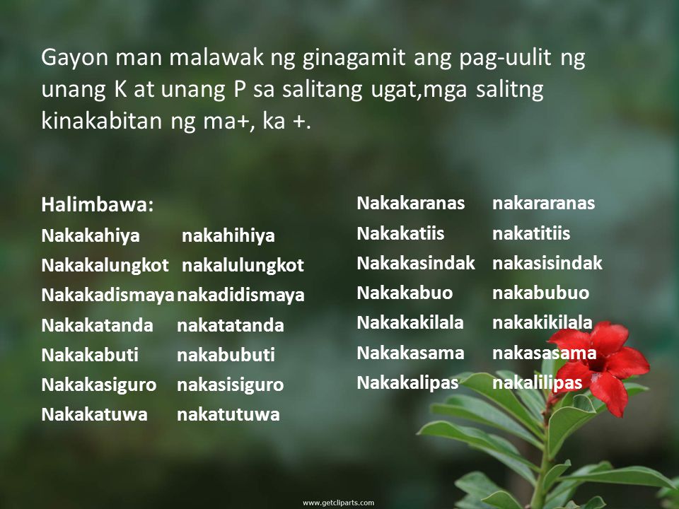 salitang ugat - philippin news collections