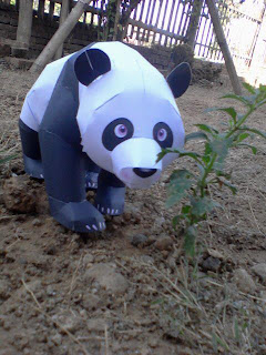 Giant Panda Papercraft | PERI KUDUS