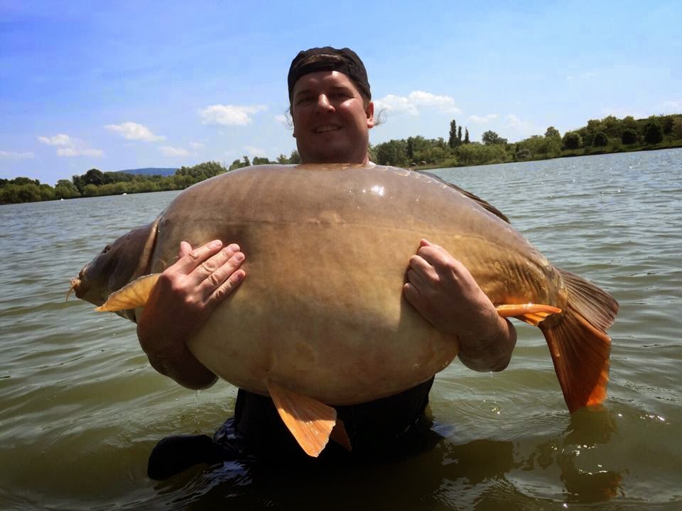 Records karper per land