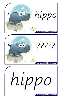 Wild Animals Flashcards