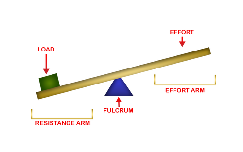Science online: The structure and the importance of the levers
