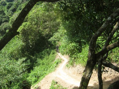 Climbing Mount Babag Part 1: Guadalupe to Napo to the Small Creek