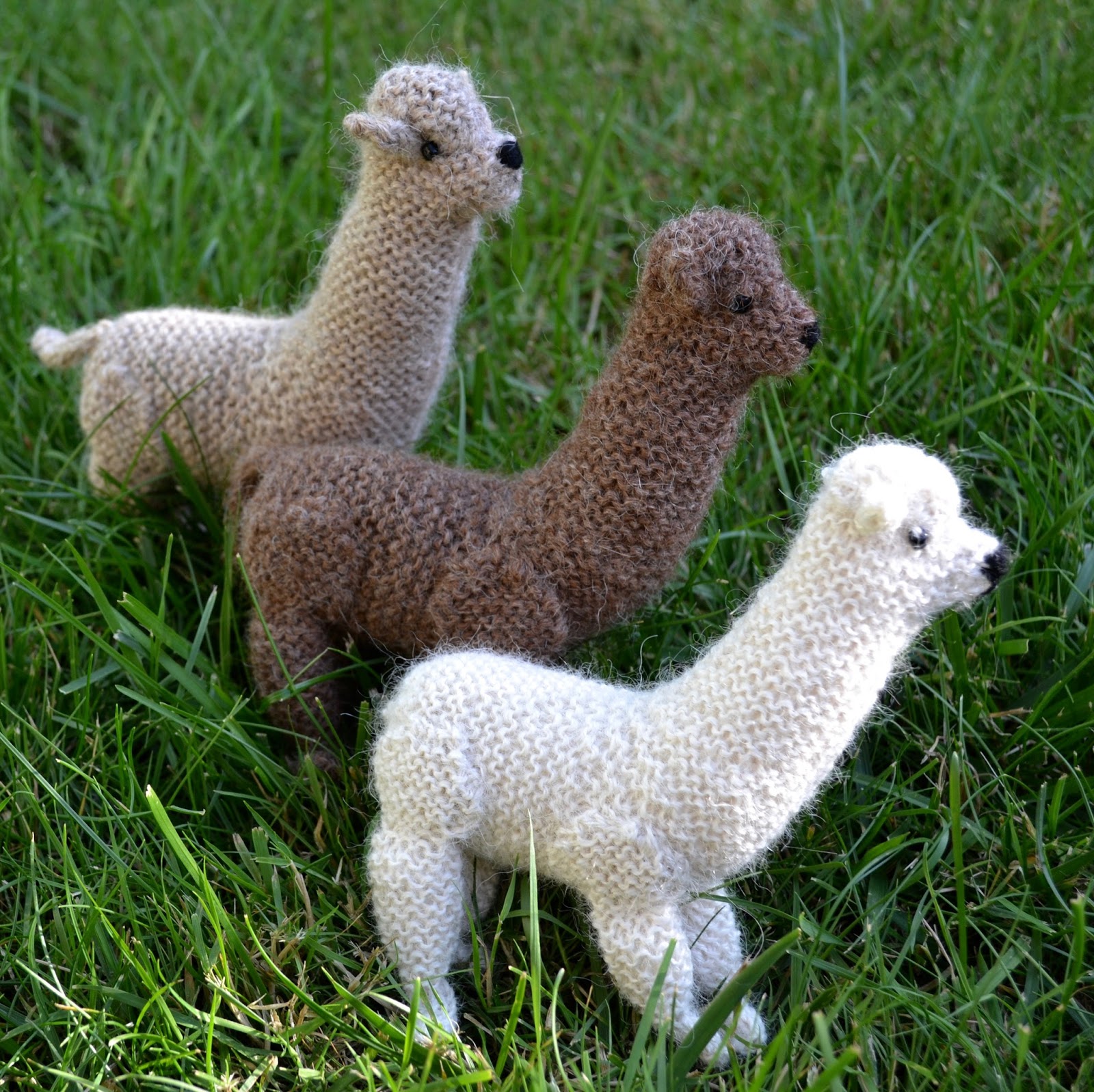 Ginx Craft : Alpaca