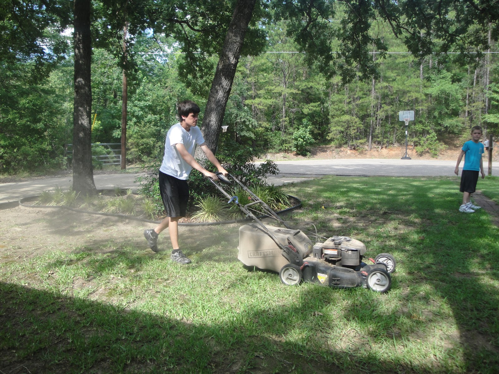Norwood Nonsense: Yard Work, Part 2