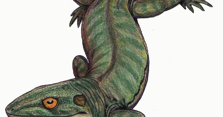 Variety of Life: Temnospondyli