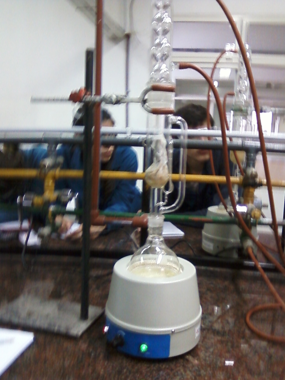 Erika Martinez: Extracción Soxhlet