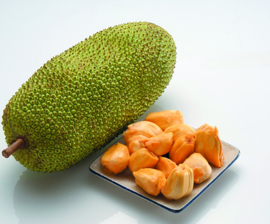 Cempedak | Benefits For Better Life - FRUITS