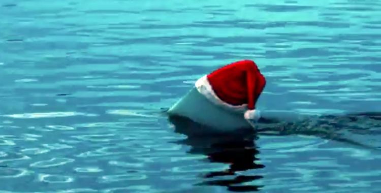 Santa Jaws (2018) by Misty Talley