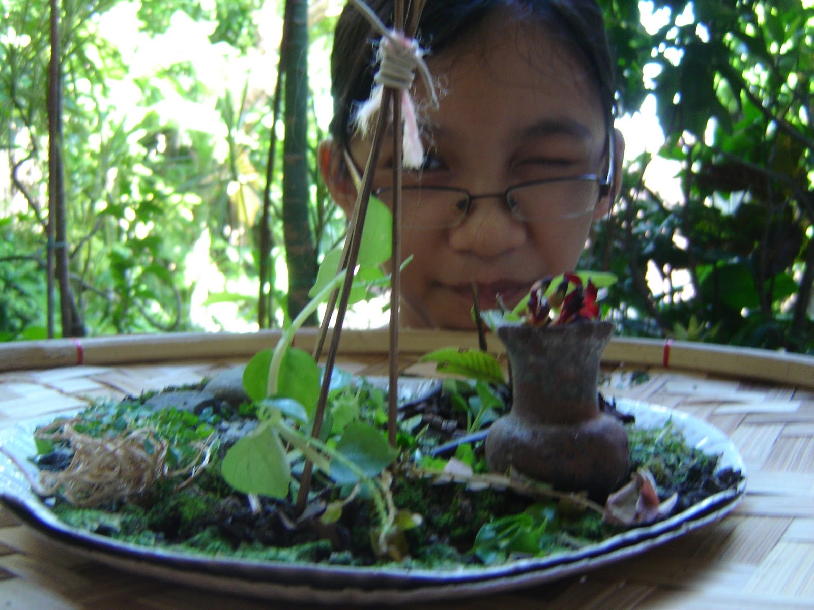Riona's (A.K.A. Amorina) Pages: Miniature Moss Plate Garden