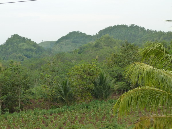 Caving in SE Asia: Gunung Sewu cockpit karst in Java