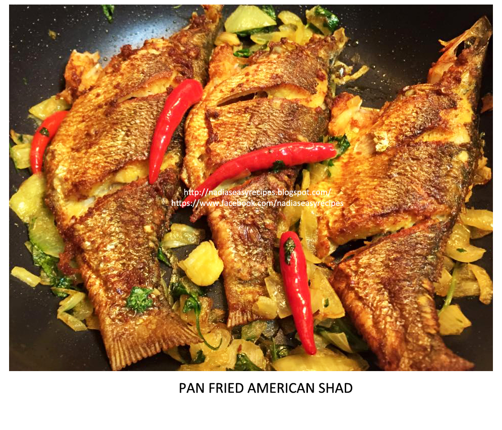 Pan Fried American Shad | Nadia's Easy Recipes