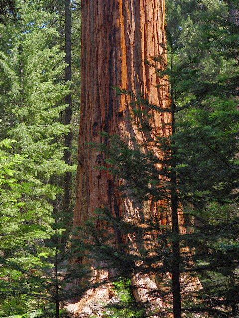 Geotripper: Happy Holidays from the Geotripper Gang.