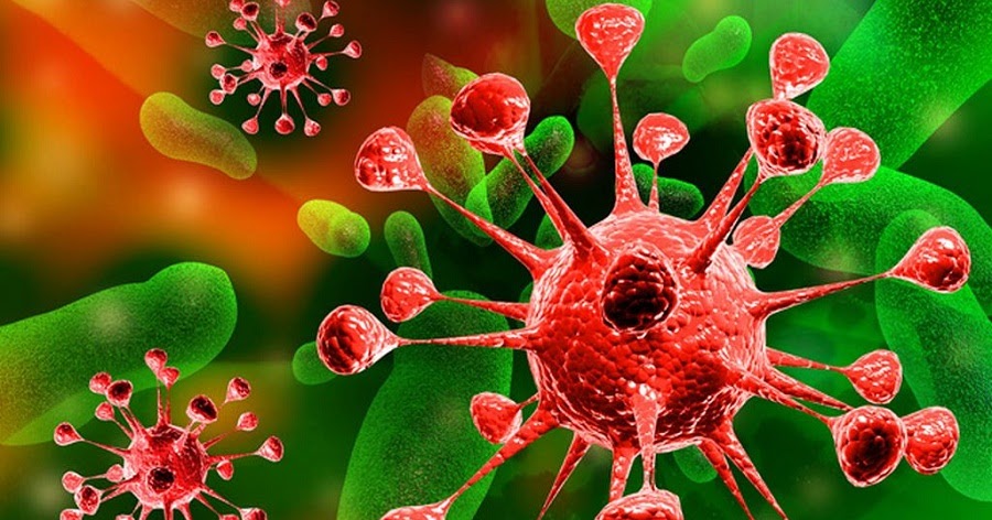 Differences Between Virus Fungi And Algae - leadingeastern