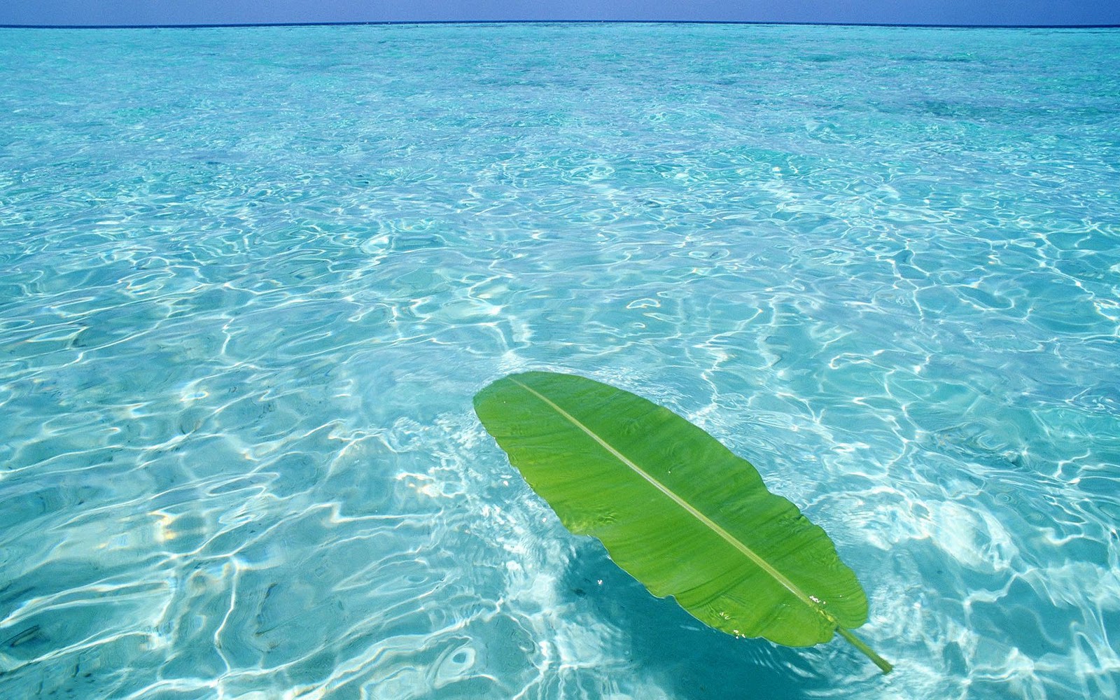 Zee Achtergronden | HD Wallpapers