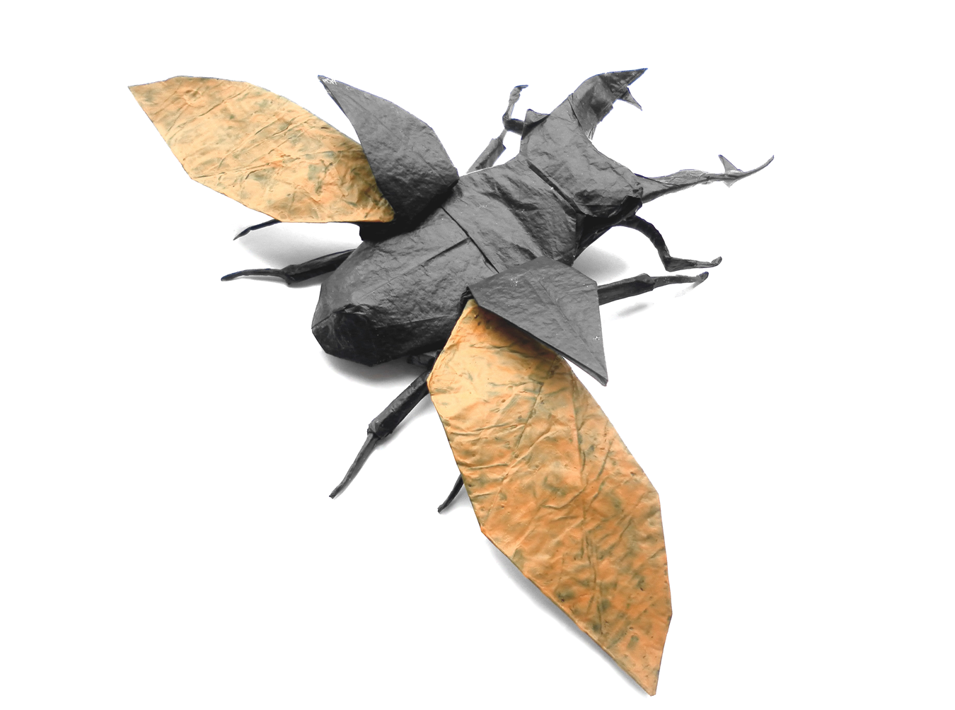 Mariano-Mi mundo el Origami: Flying Stag Beetle