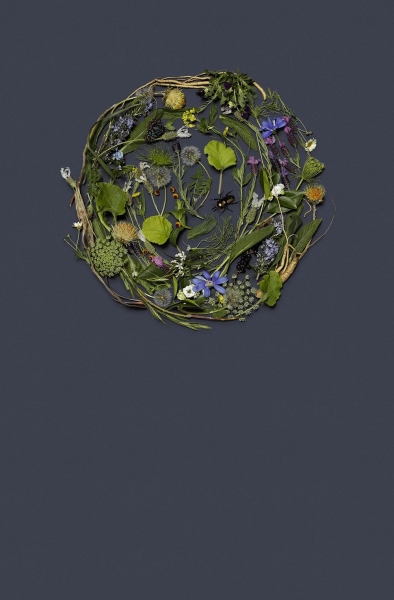 Fotografia Contemporanea: Gary Heery