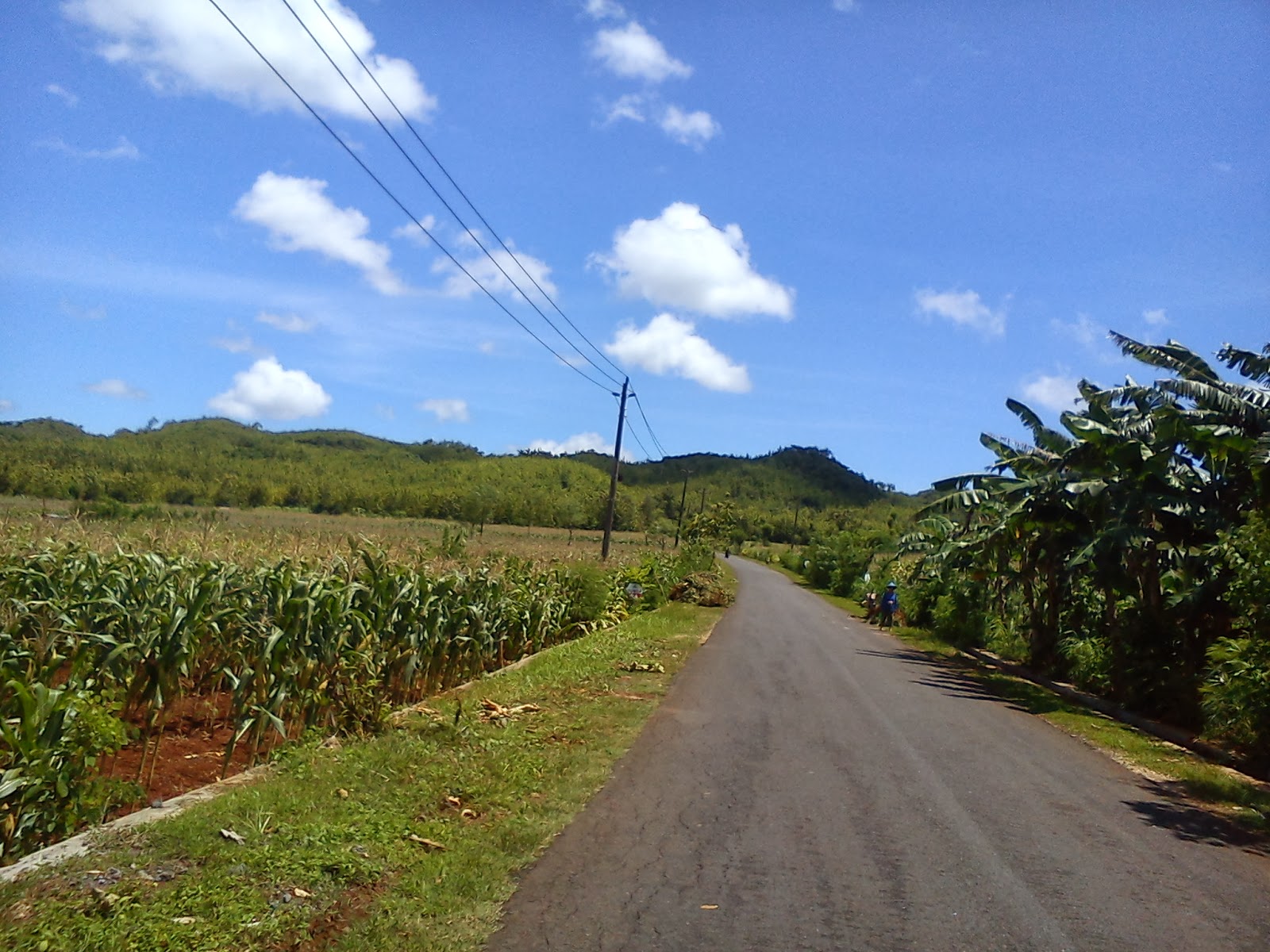 Jalan - Jalan di Daerah Gunung Kidul ~ Asemix