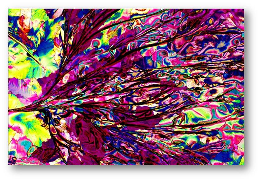 How are alcoholic beverages under a microscope? | Photography