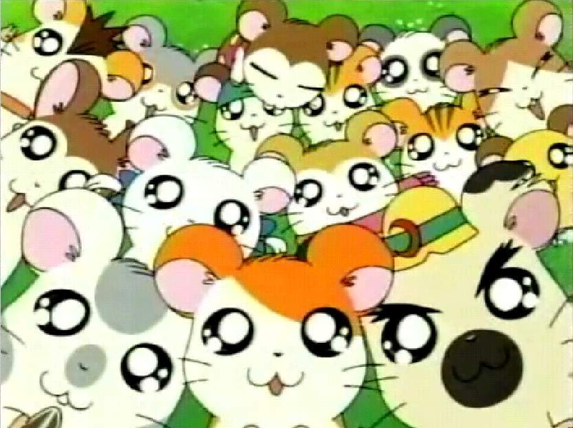 AnimeMania: Hamtaro
