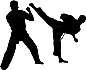 Martial Arts Chandigarh: Free sparring for Martial Artists