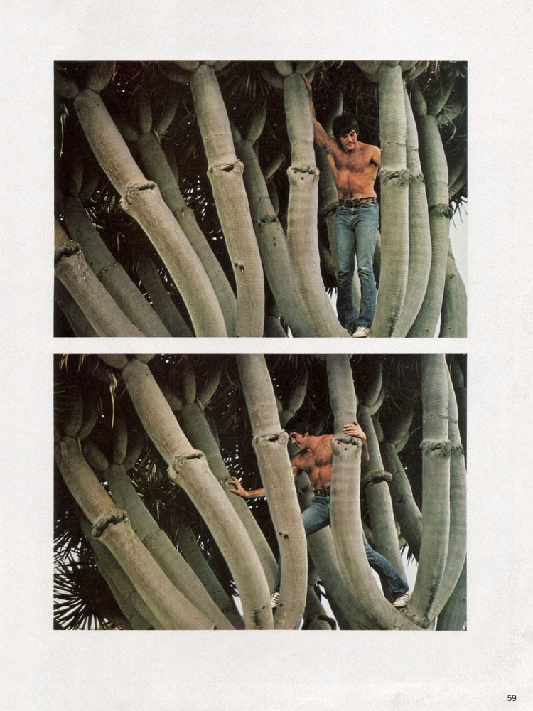 Welcome to my world.... : Nick Dimitri - VIVA - January 1974