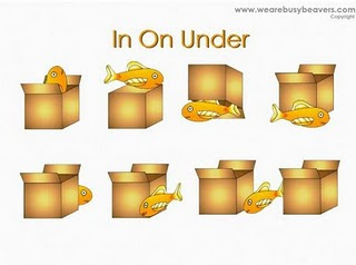 flock together: WHERE IS IT?