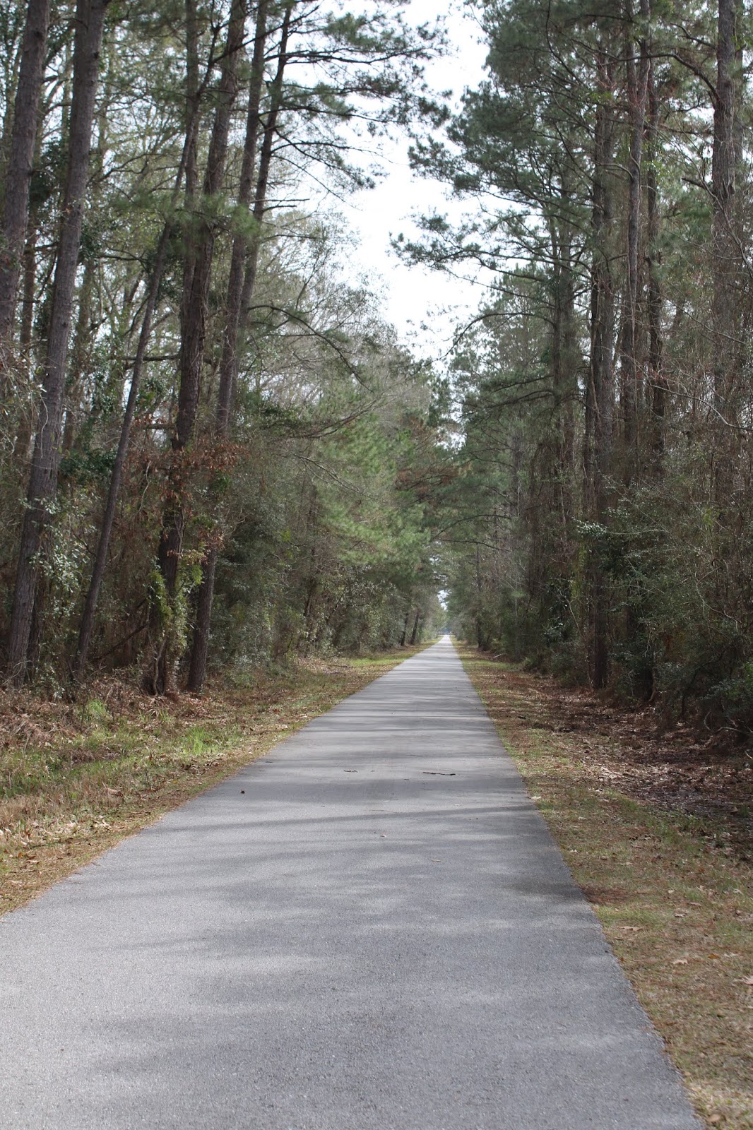 Gary, Susan, and Molly's Great Adventure