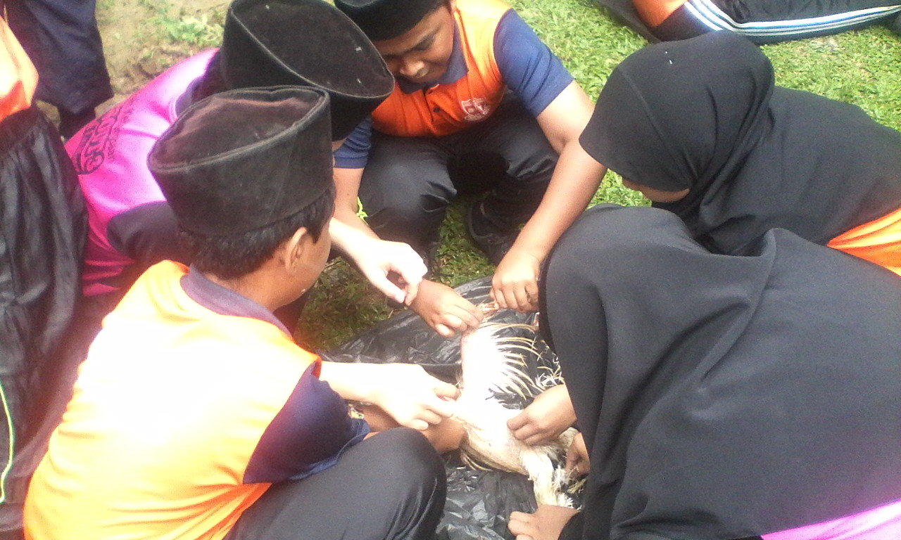 SKB3: Amali Sembelihan Program Tahun 6 Selepas UPSR